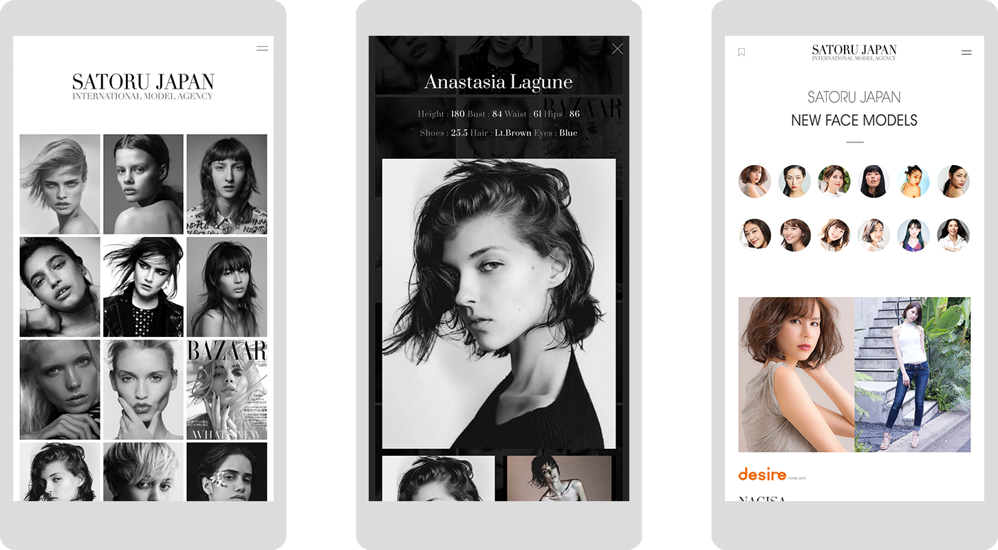 SATORU JAPAN INC. | FORM::PROCESS